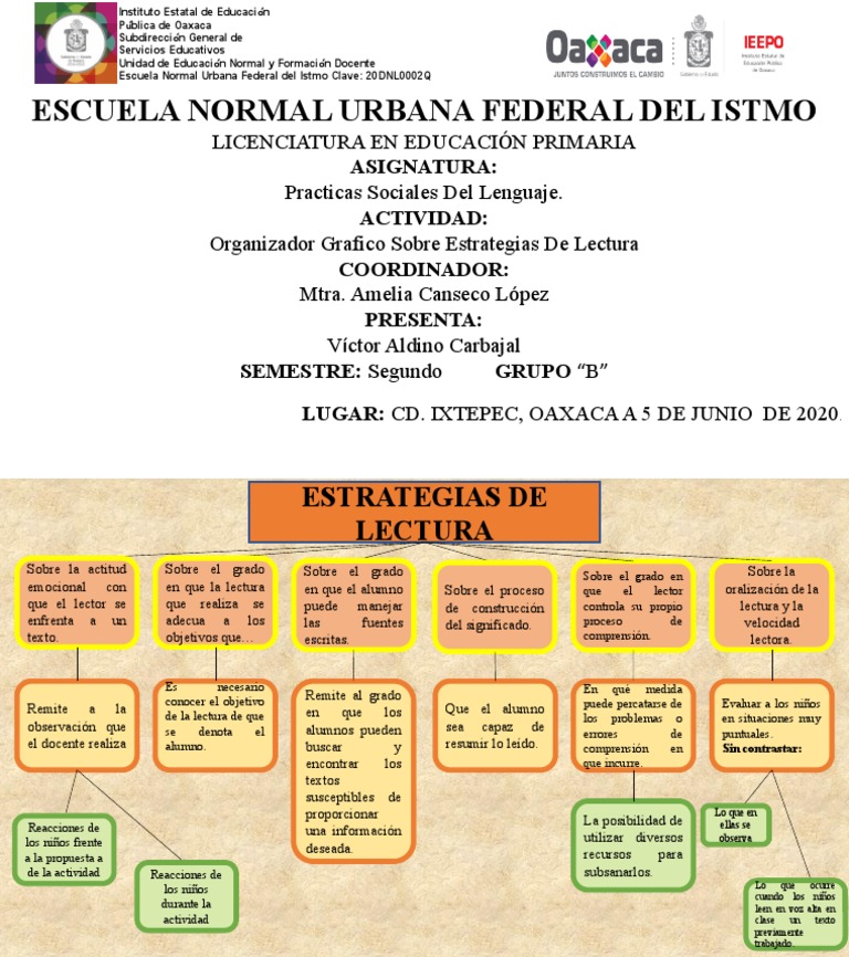 Estrategias de Lectura (Isabel Solé) | PDF