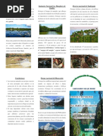 Triptico Biodiversidad Del Perú | PDF