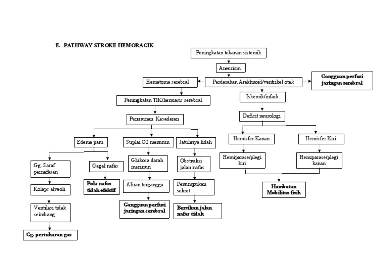 Pathway Stroke Hemoragik | PDF