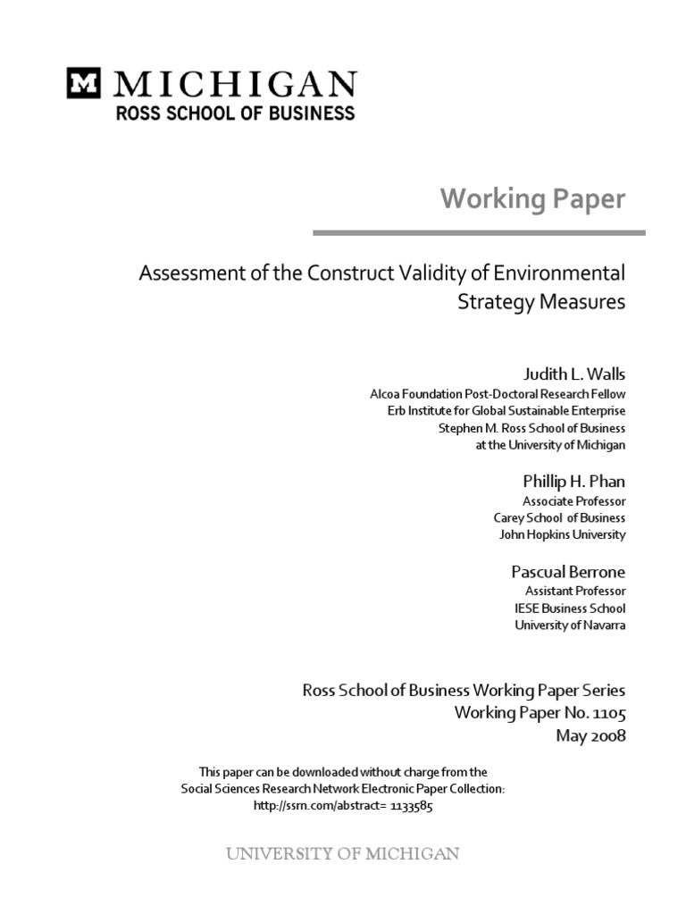 Working Paper: Assessment of The Construct Validity of Environmental Strategy Measures ...