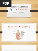 9 Types of Sequestrum | PDF