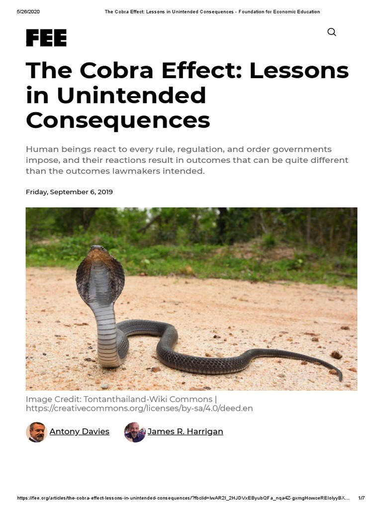 The Cobra Effect: Unintended Consequences | PDF | Consolidated Omnibus ...