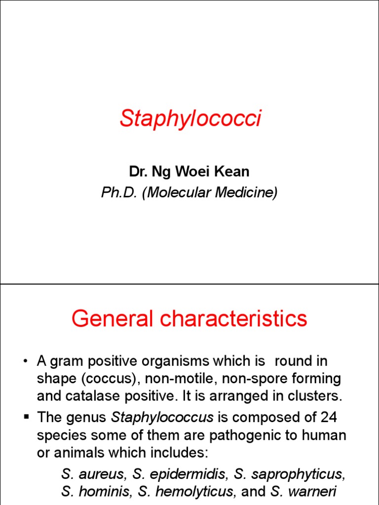 Understanding Staphylococcus: Characteristics, Virulence Factors ...