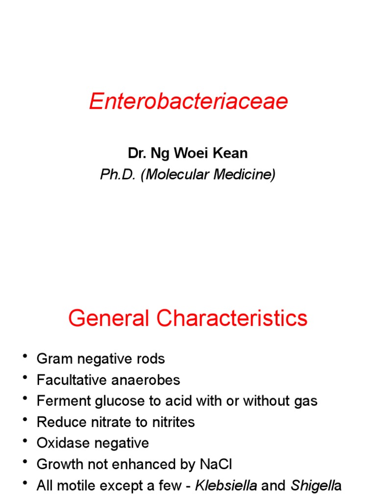 Understanding Enterobacteriaceae | PDF | Salmonella | Escherichia Coli