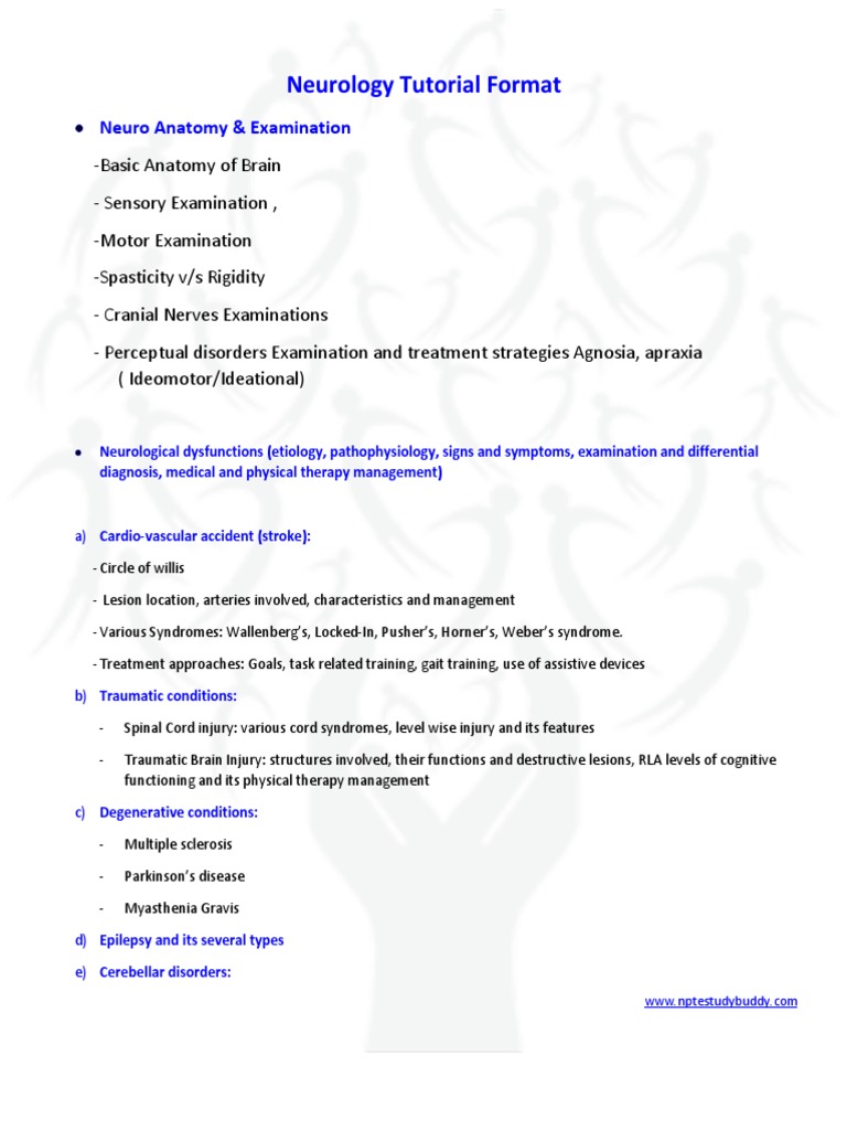 Neurology Tutorial Format: Neuro Anatomy & Examination | PDF ...
