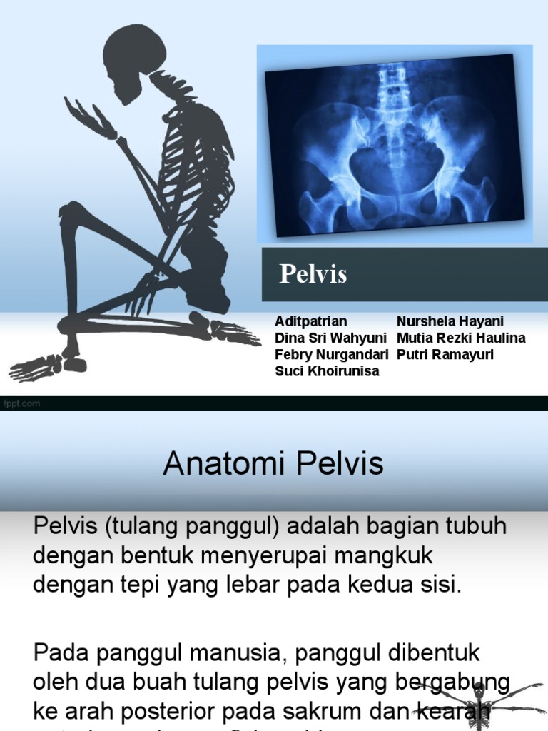Teknik Pemeriksaan Radiologi Pelvis | PDF | Kesehatan Holistik