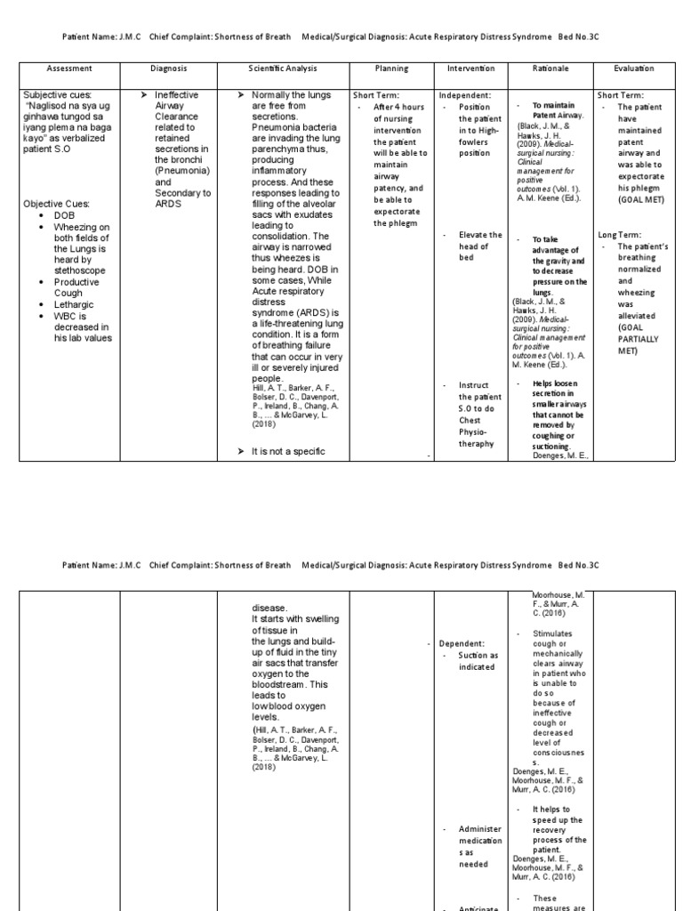 NCP Ards | PDF | Respiratory Tract | Lung