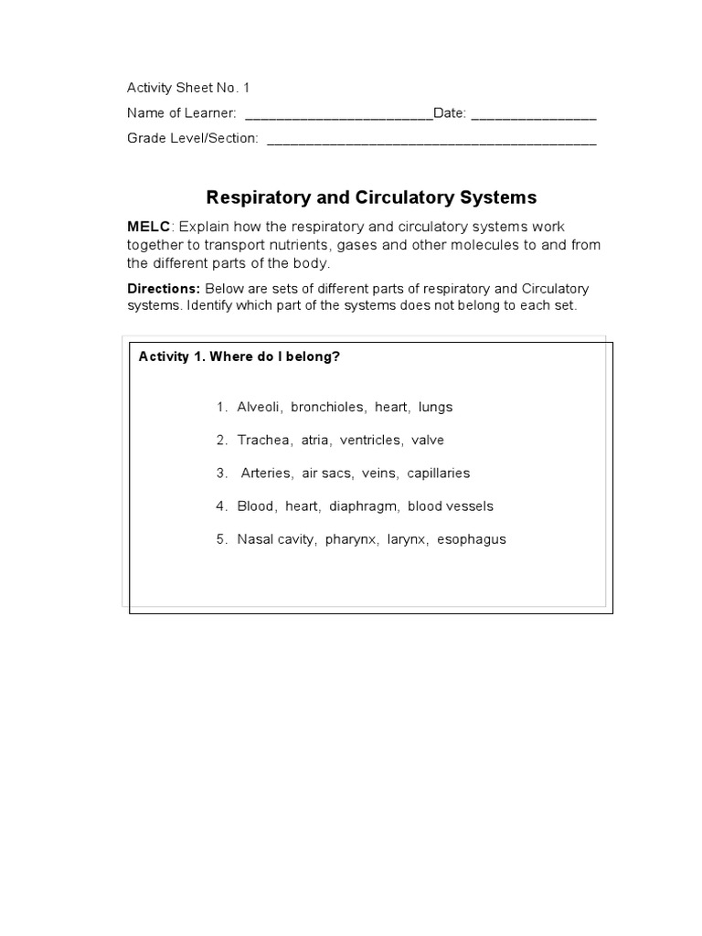Circulatory System Lesson Activities 30 Hands On Circulatory System
