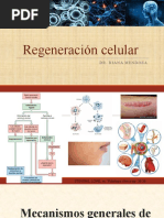 Diseminacion Hematogena | PDF | Historia