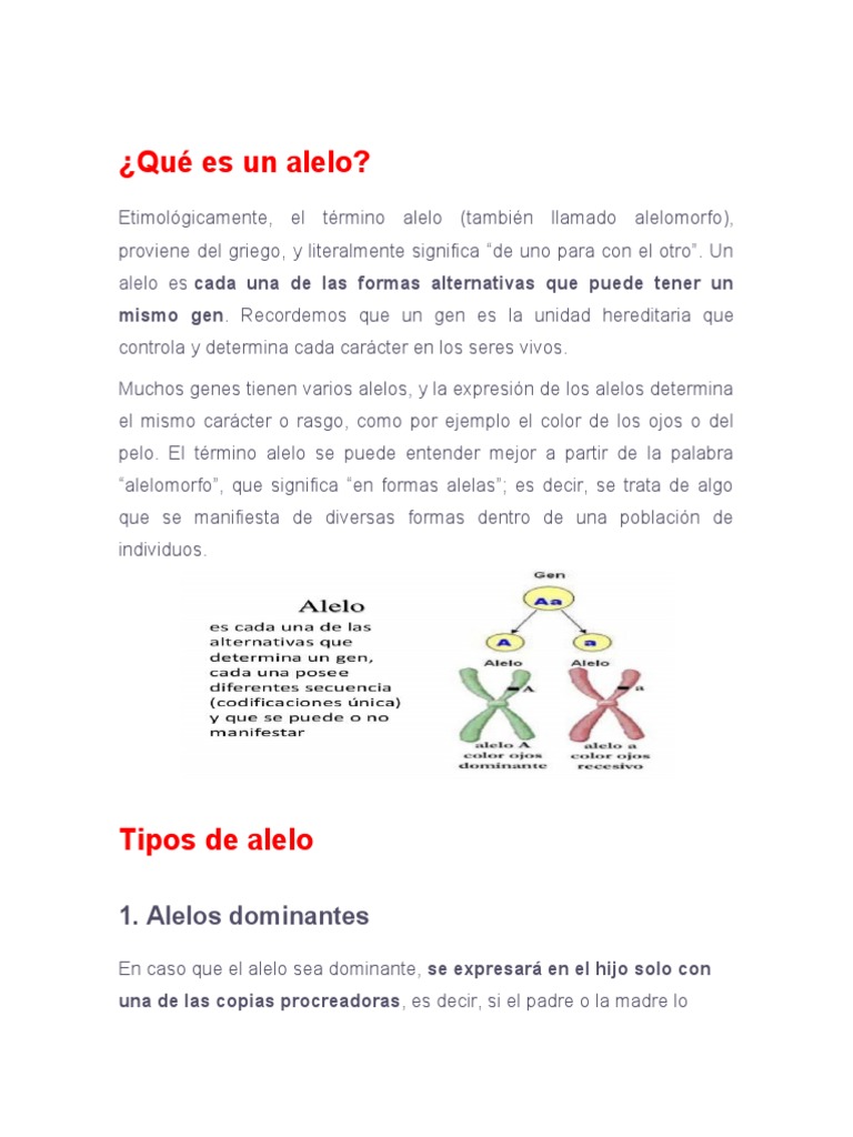 Qué Es Un Alelo | PDF
