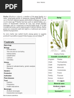 Whole Grains Comparison Chart | PDF | Flour | Gluten Free Diet