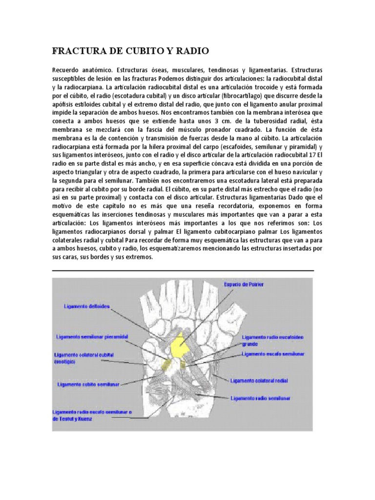 Fracturas de Cúbito y Radio: Guía Clínica | PDF | Sistema ...