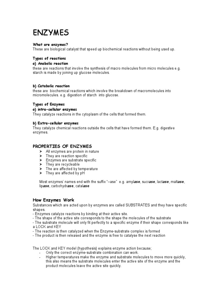 Enzymes: What Are Enzymes? Types of Reactions A) Anabolic Reaction ...
