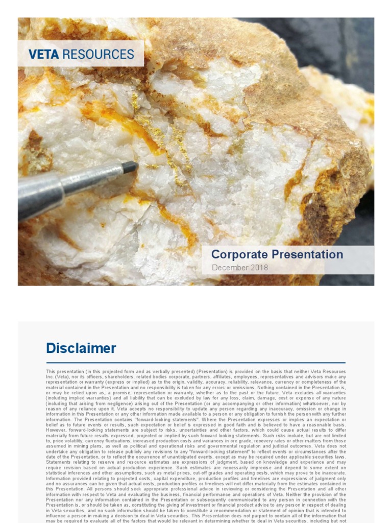 Veta Resources | Download Free PDF | Gold | Mining