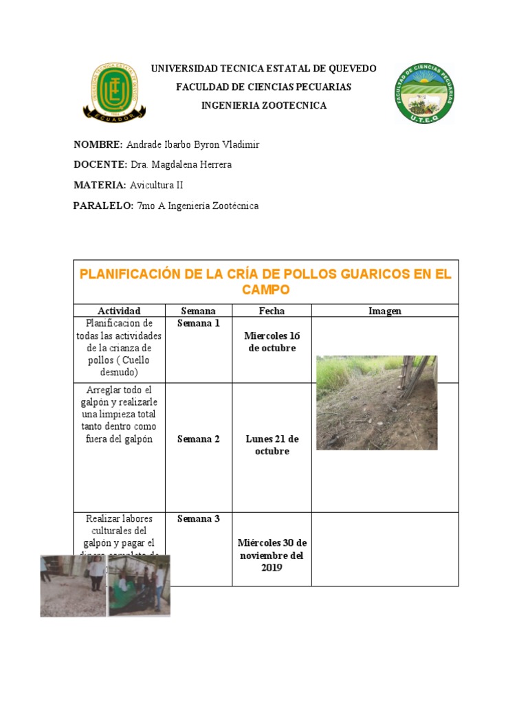 PLANIFICACIÓN DE LA CRÍA DE POLLOS GUARICOS EN EL CAMPO, Andrade Ibarbo ...