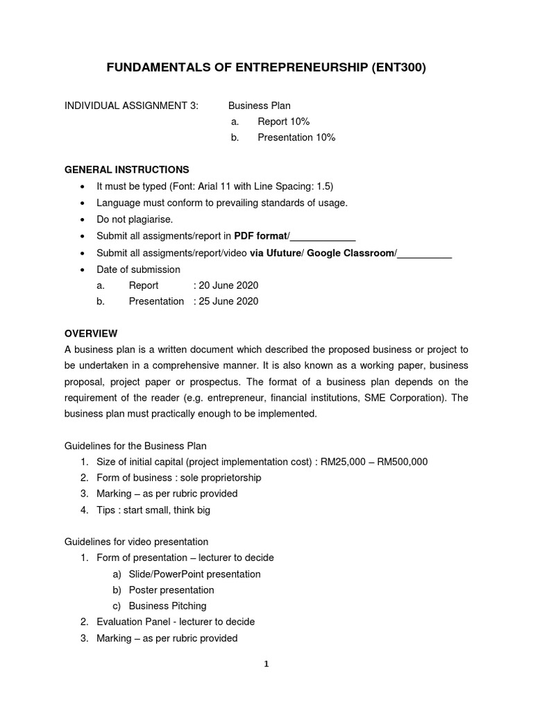 BUSINESS PLAN FORMAT Revised RMO | PDF | Expense | Market Segmentation