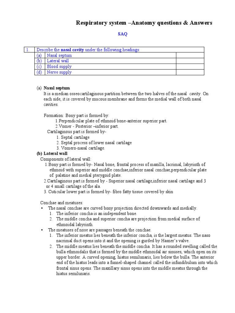 B 22-Rs-Anatomy - Saq Answers | PDF | Larynx | Lung
