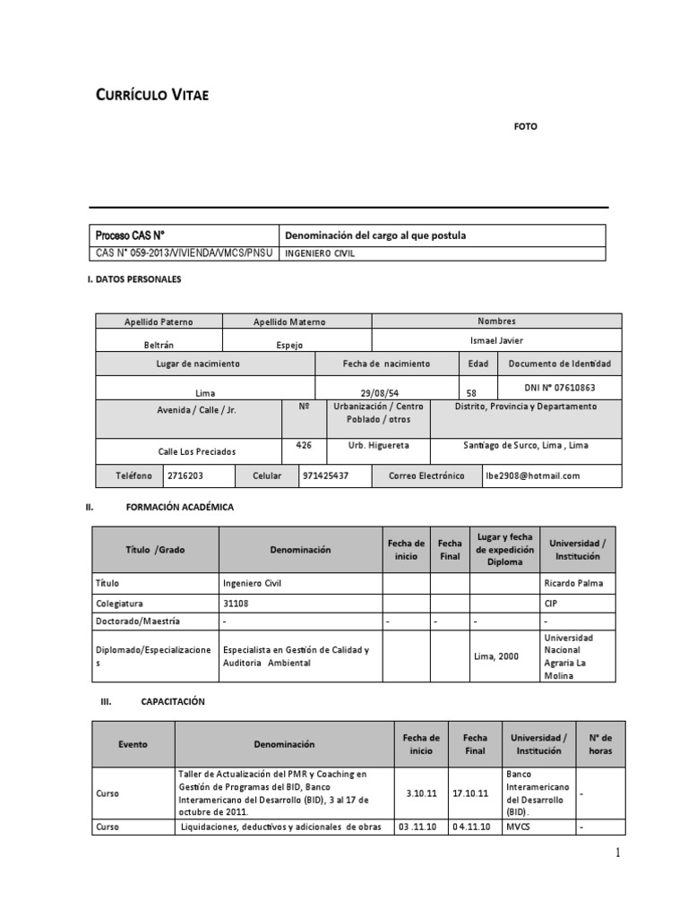 Formato de Curriculum Vitae | PDF | Saneamiento | Banco Interamericano ...