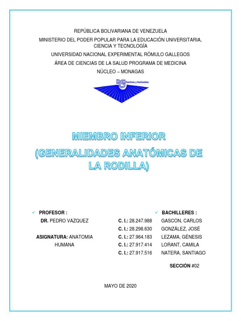 Informe Rodilla | PDF | Rodilla | Anatomía del miembro inferior