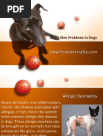 Planner Bundle - Wolfie Designs | PDF