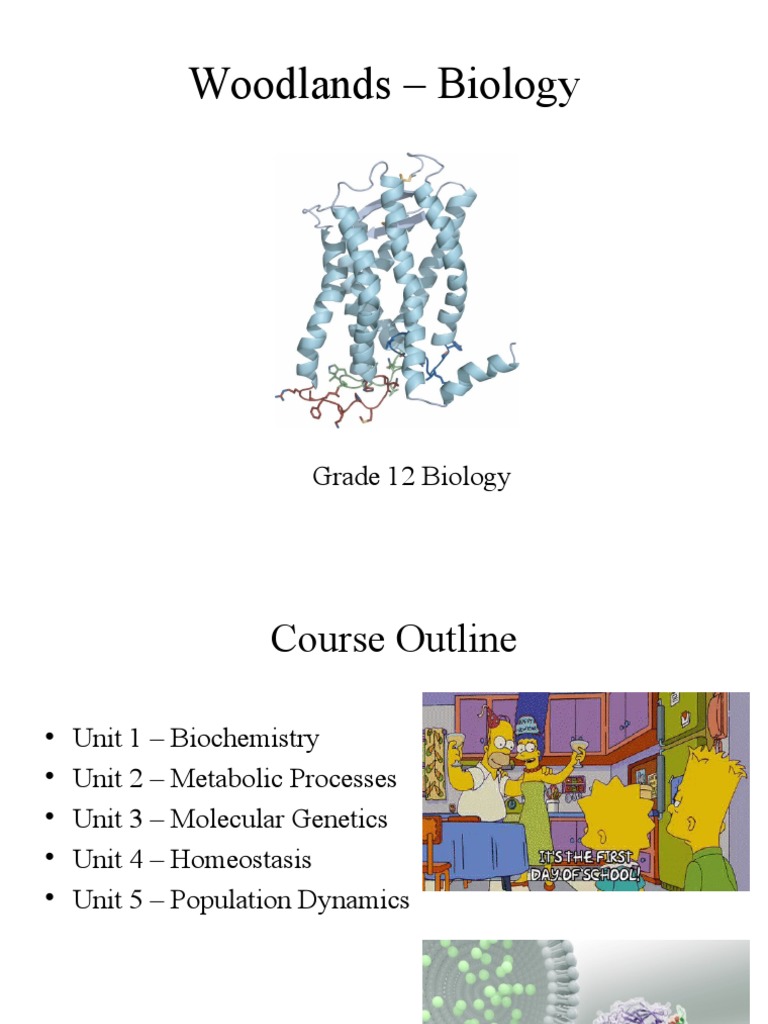 Woodlands High School Grade 12 Biology: A Comprehensive Course Outline ...