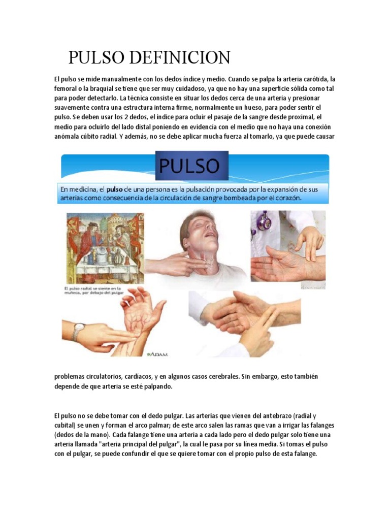 Pulso Definicion | PDF | Legumbres | Sistema circulatorio