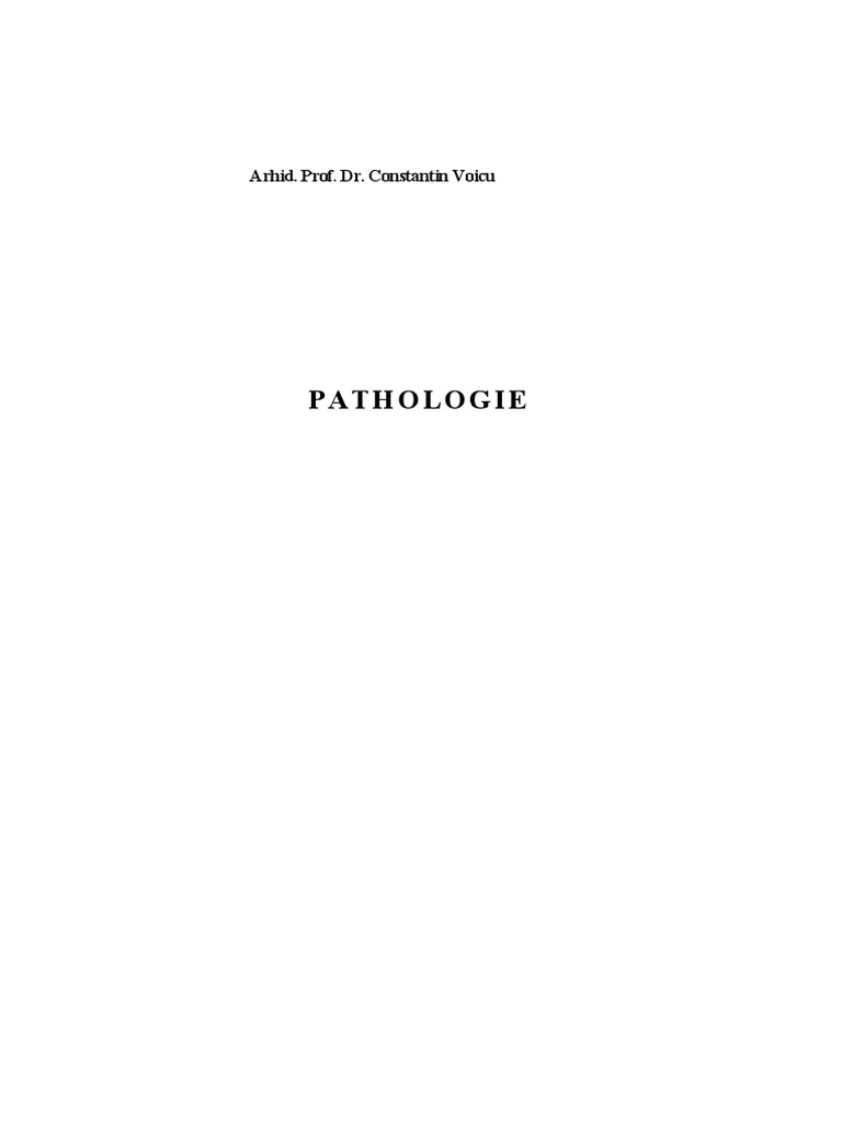 Patrologie Voicu | PDF