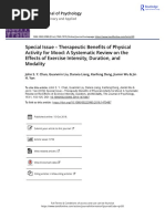 CBT Formulation Template | PDF