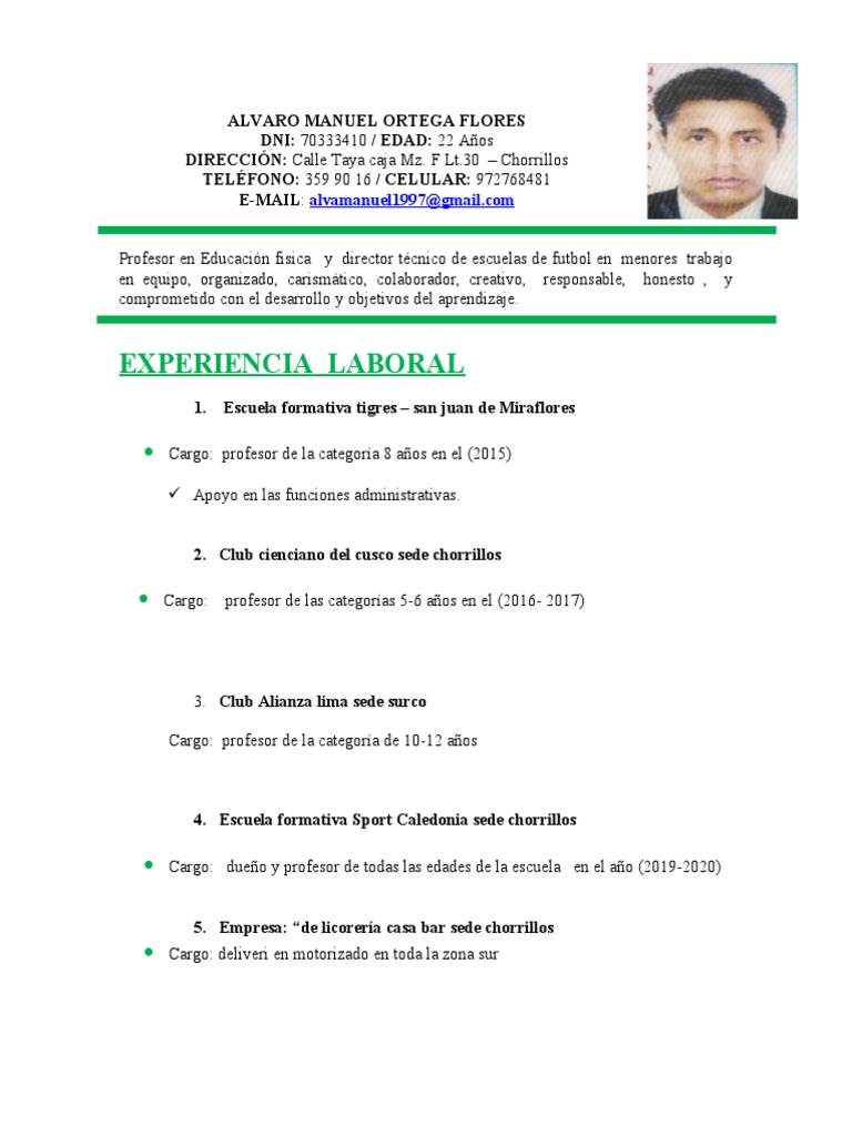 CV Alvaro or | PDF