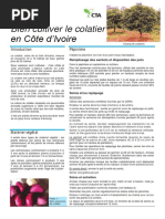 Cours 2 CULTURES MARAICHERES | PDF | Semis | Sol (pédologie)