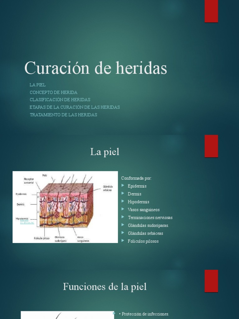 Guía de Curación de Heridas | PDF | Herida | Piel