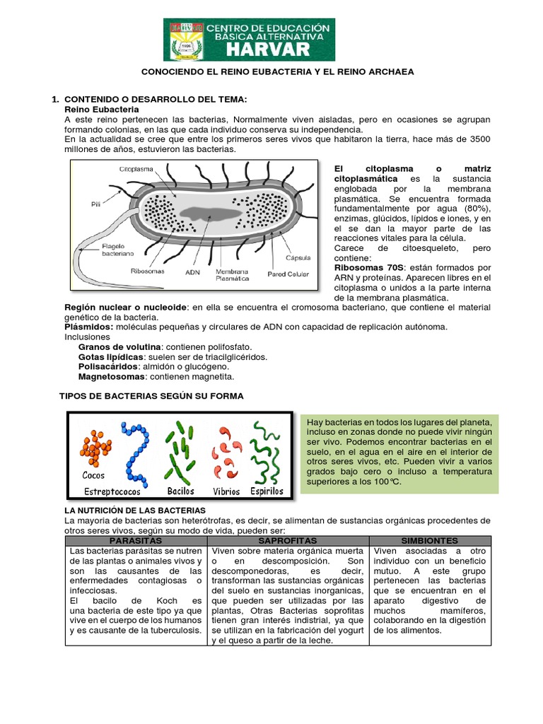 Practica #7 - Reino Eubacteria y Archaea | PDF | Las bacterias | Archaea