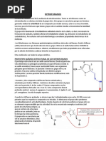 Prospecto NIFURYL | PDF | Infección del tracto urinario ...