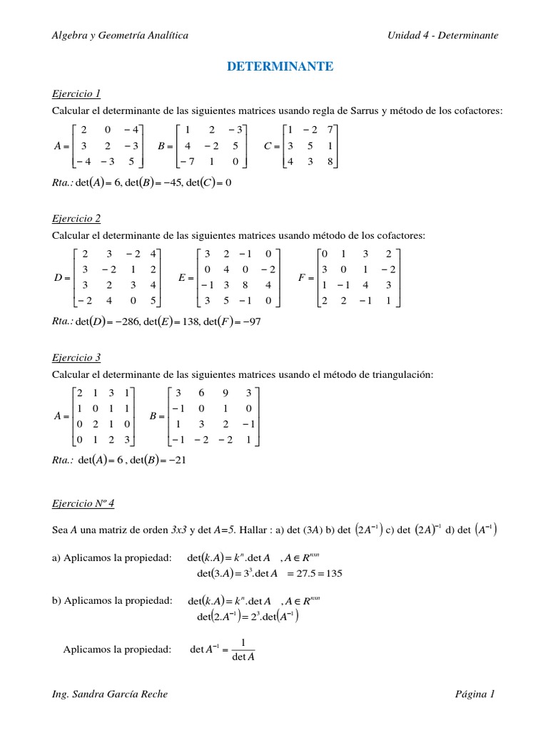 Determinantes Ejercicios | PDF | Determinante | Matriz (Matemáticas)