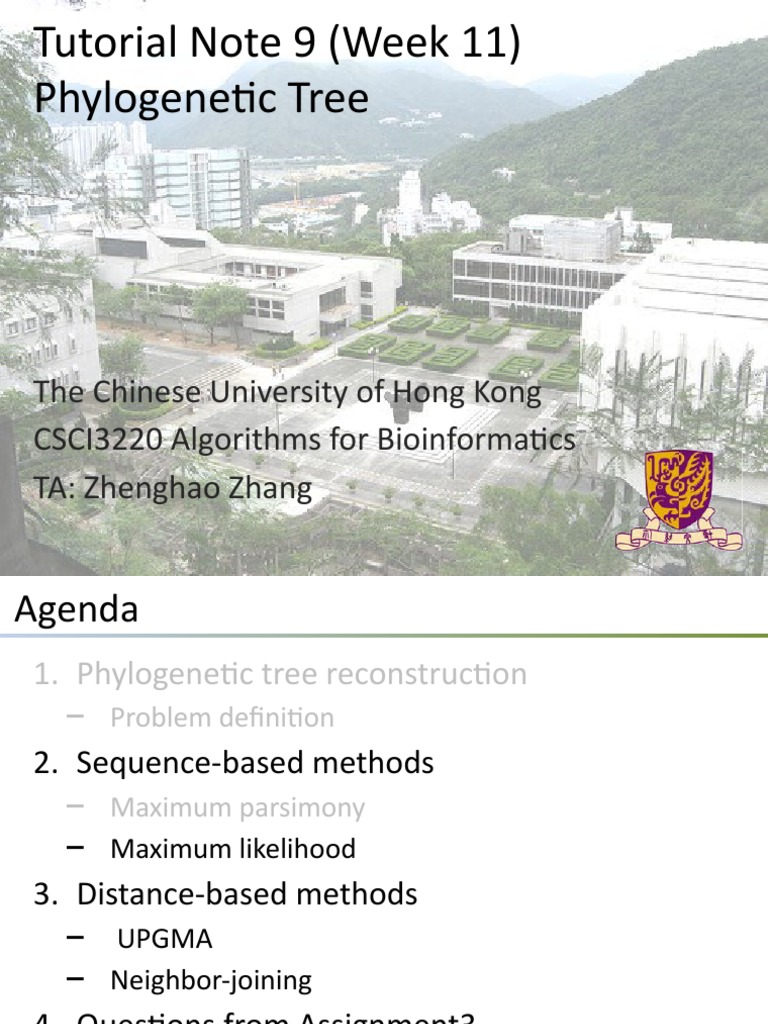 Tutorial Note 9 (Week 11) Phylogenetic Tree | PDF | Biostatistics | Biological Classification