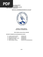 Condrogénesis y Crecimiento del Cartílago | PDF