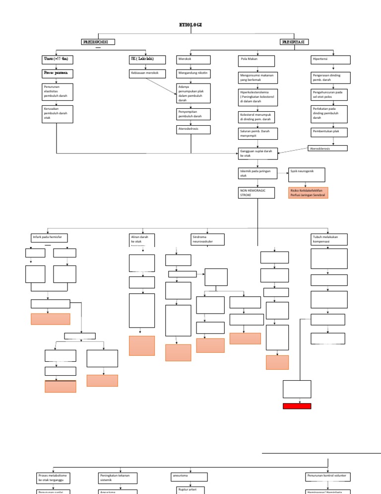 Pathway NHS Dan HS | PDF