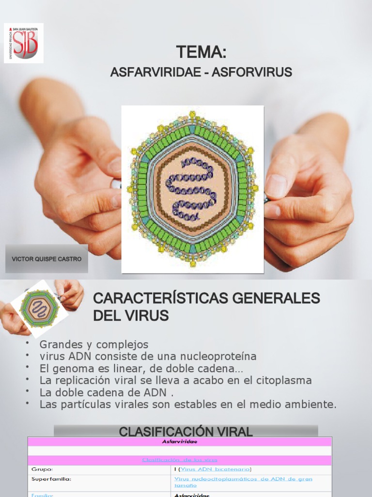 Asfarviridae. Clase | PDF | Enfermedades animales | Virus