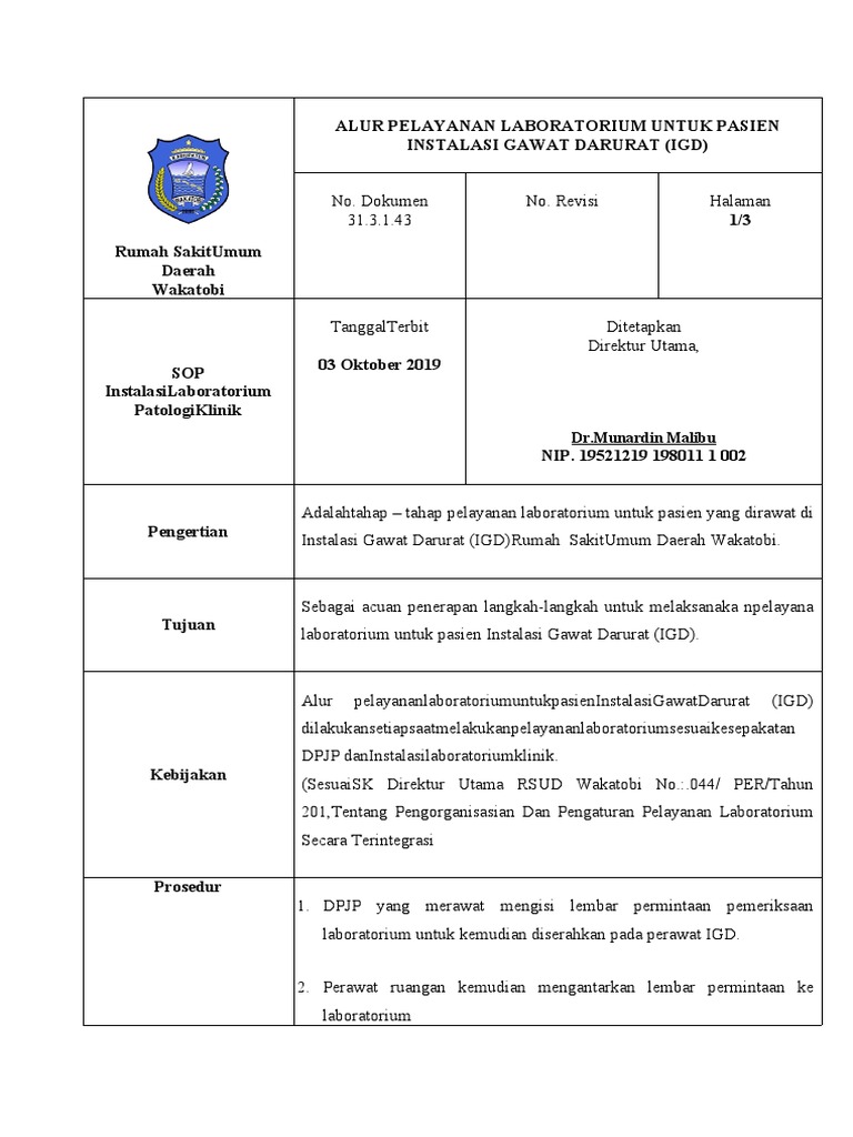 Alur Pelayanan Laboratorium Igd | PDF