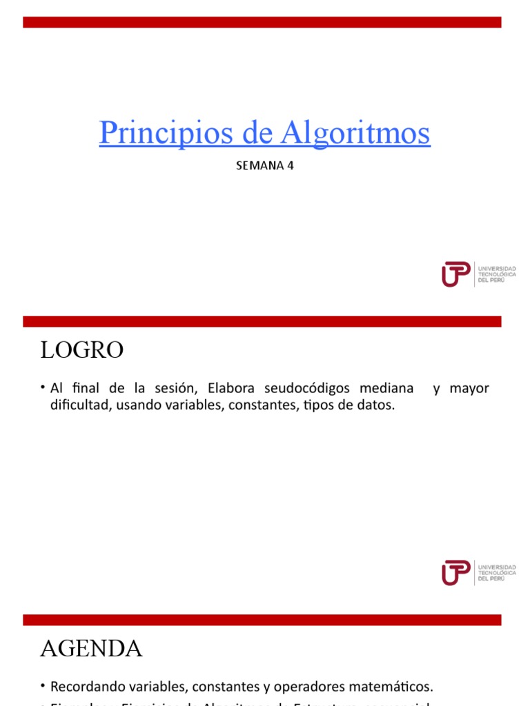 Principios de Algoritmos - SEMANA 04 | PDF | Algoritmos | Tipo de datos