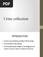 Measuring and Recording Urine Output | PDF | Urination | Volume