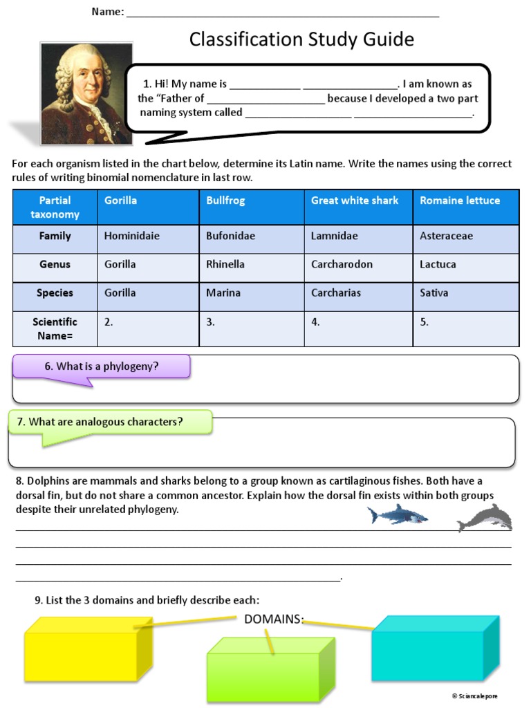 Classification Study Guide | Download Free PDF | Organisms ...