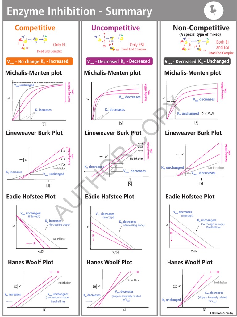 Enzyme Inhibition - Summary: Competitive | PDF | Enzyme Inhibitor ...