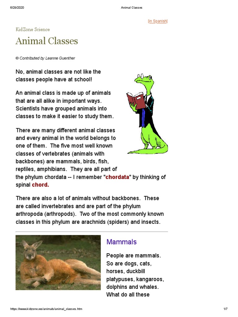 Animal Class 1 | PDF