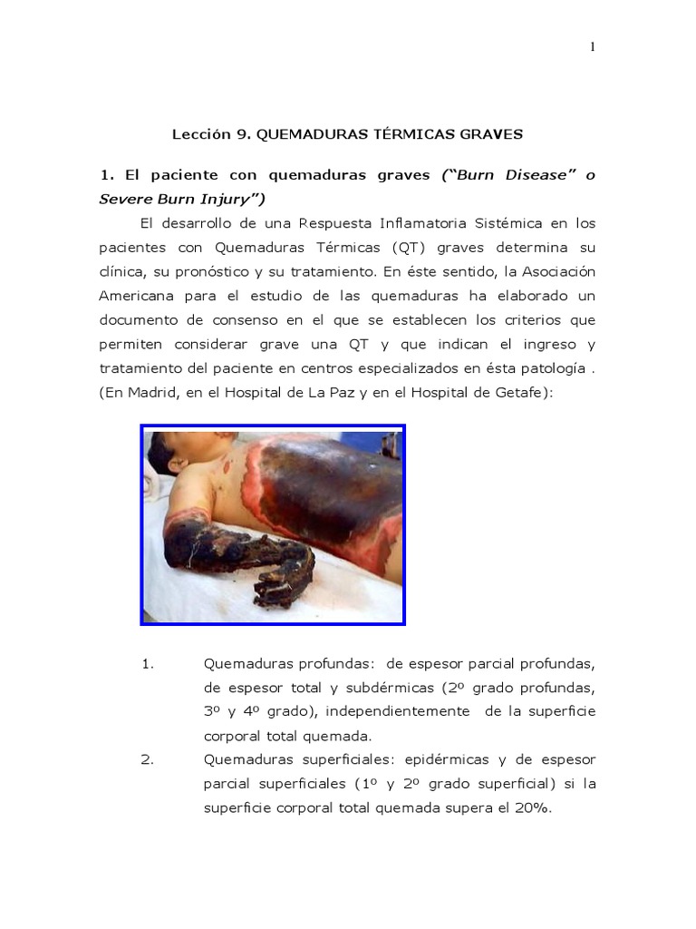 420 2014 02 07 QUEMADURAS TERMICAS GRAVES 19nov 2013 PDF | PDF ...