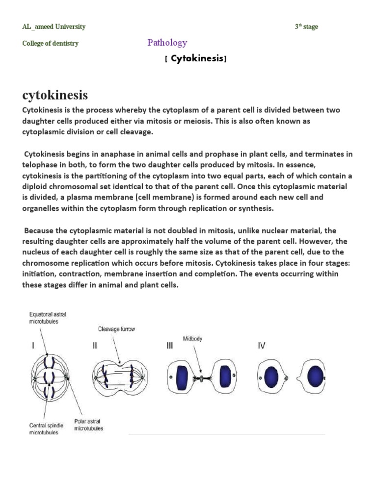 Pathology | PDF | Mitosis | Cell (Biology)