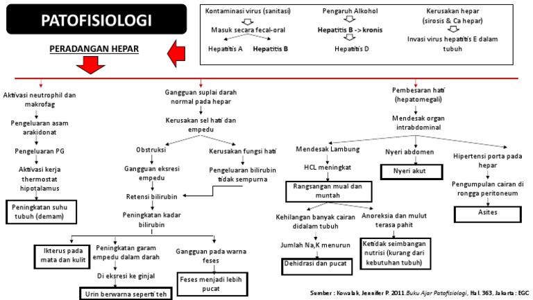 Patofisiologi Hepatitis B-Sari | PDF