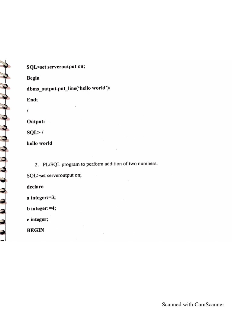 PL-SQL Programs | PDF
