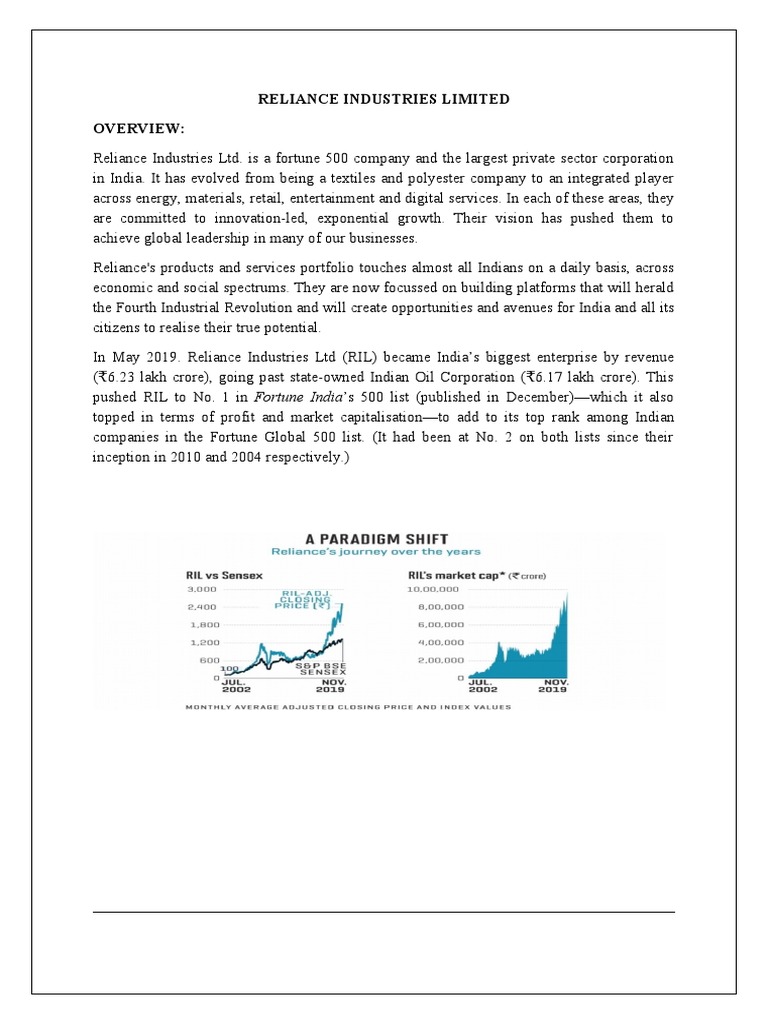 Reliance Industries Ltd: Company Overview and Analysis | PDF | Dividend ...
