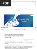 Primavera P6 Training Manual | PDF | Project Management | Computing
